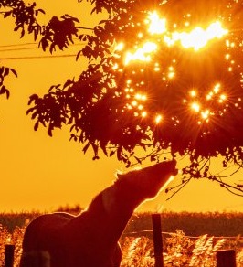 chhhh - Ceci n’est pas un blog