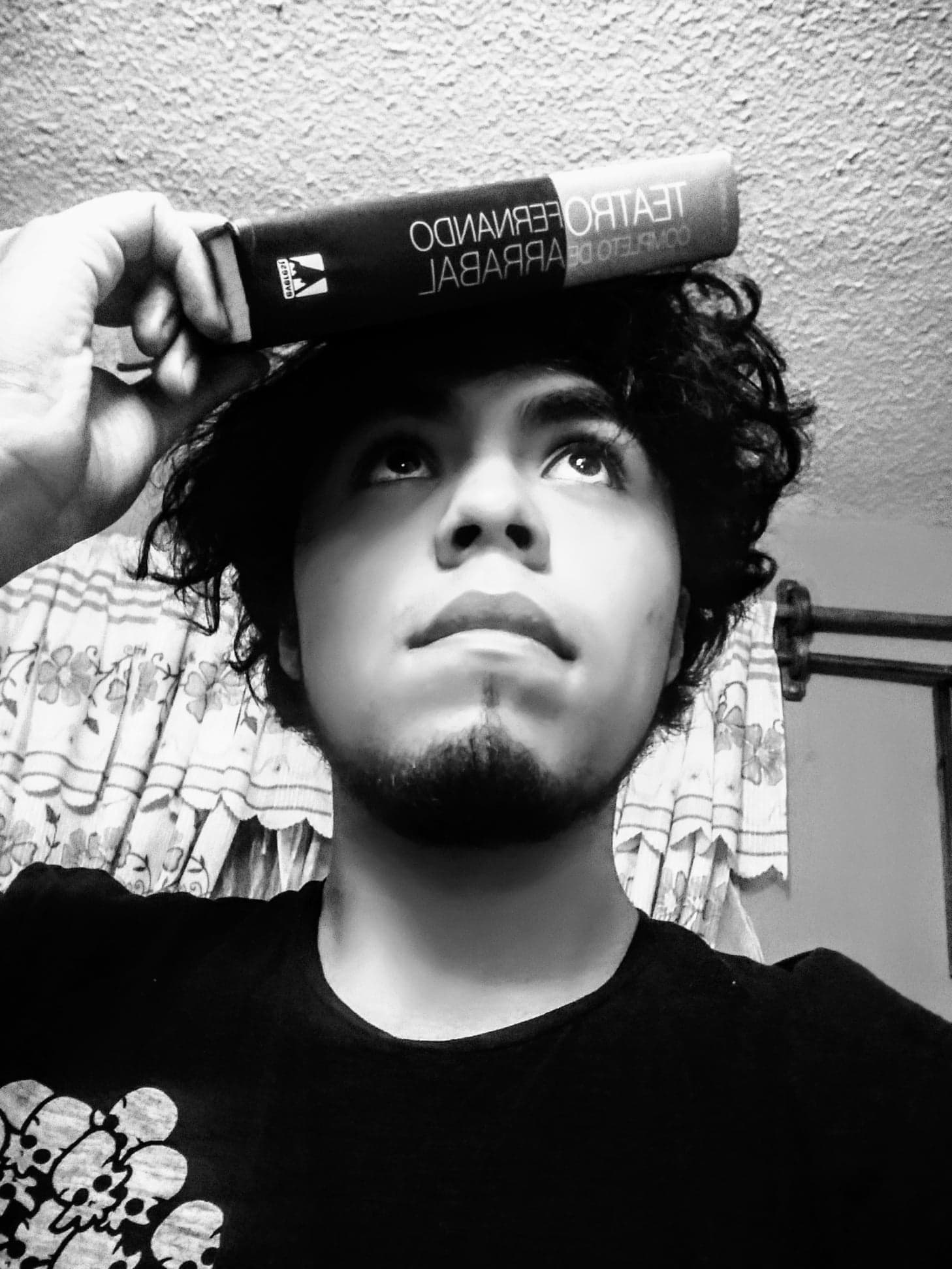 Fernando Arrabal, Pic-nic au 27e Festival International du Théâtre ...